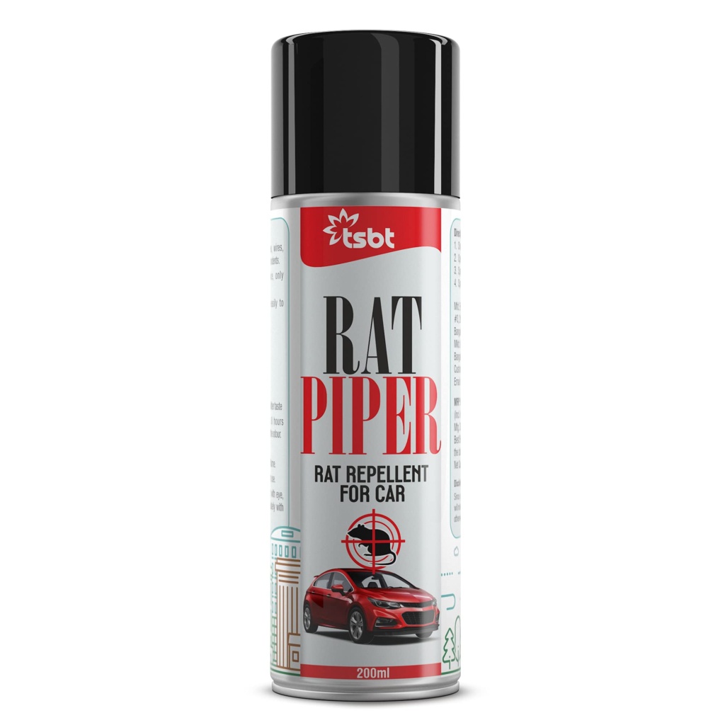 How to Protect Your Car from Rats and Other Pests? - Reflecton