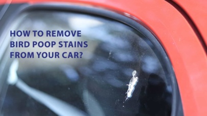 How to safely remove bird poop from your car - Reflecton